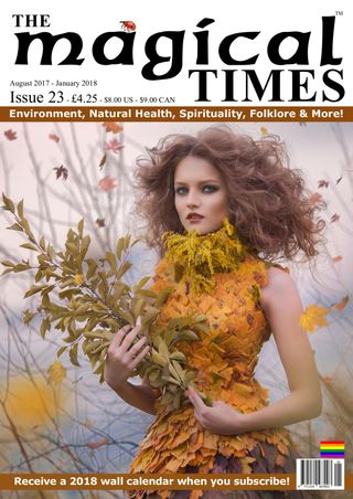 The Magical Times Issue 23 by Matthew Callow | Goodreads