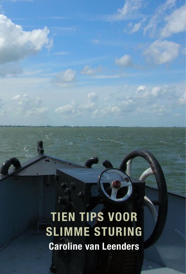 Tien tips voor slimme sturing by Caroline van Leenders | Goodreads
