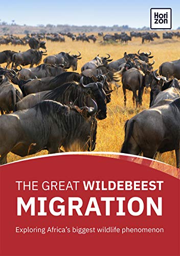 The Great Wildebeest Migration: Exploring Africa’s biggest wildlife ...