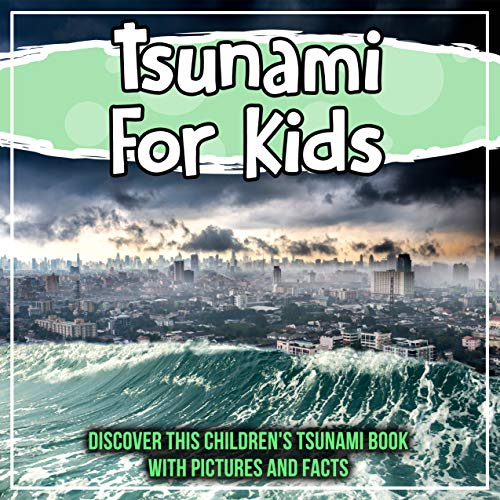 Tsunami For Kids Tsunami Kids: Our Journey From Survival To Success.
