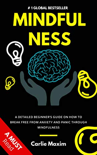 Mindfulness: A Guide to Breaking Free from Anxiety, Fear and Panic by ...