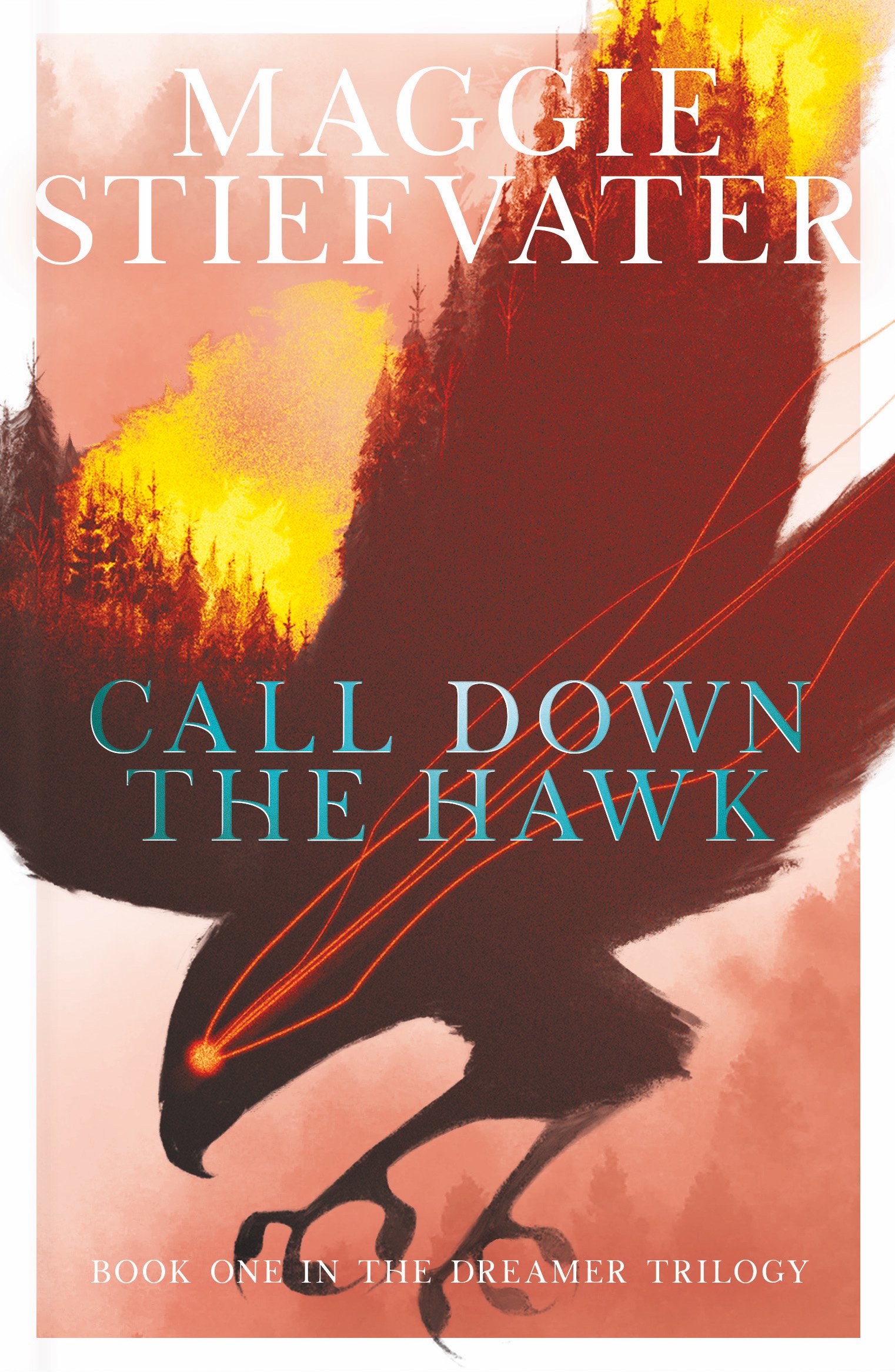 Call Down the Hawk (Dreamer, #1) by Maggie Stiefvater | Goodreads