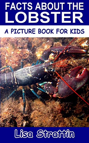 Facts About the Lobster by Lisa Strattin | Goodreads