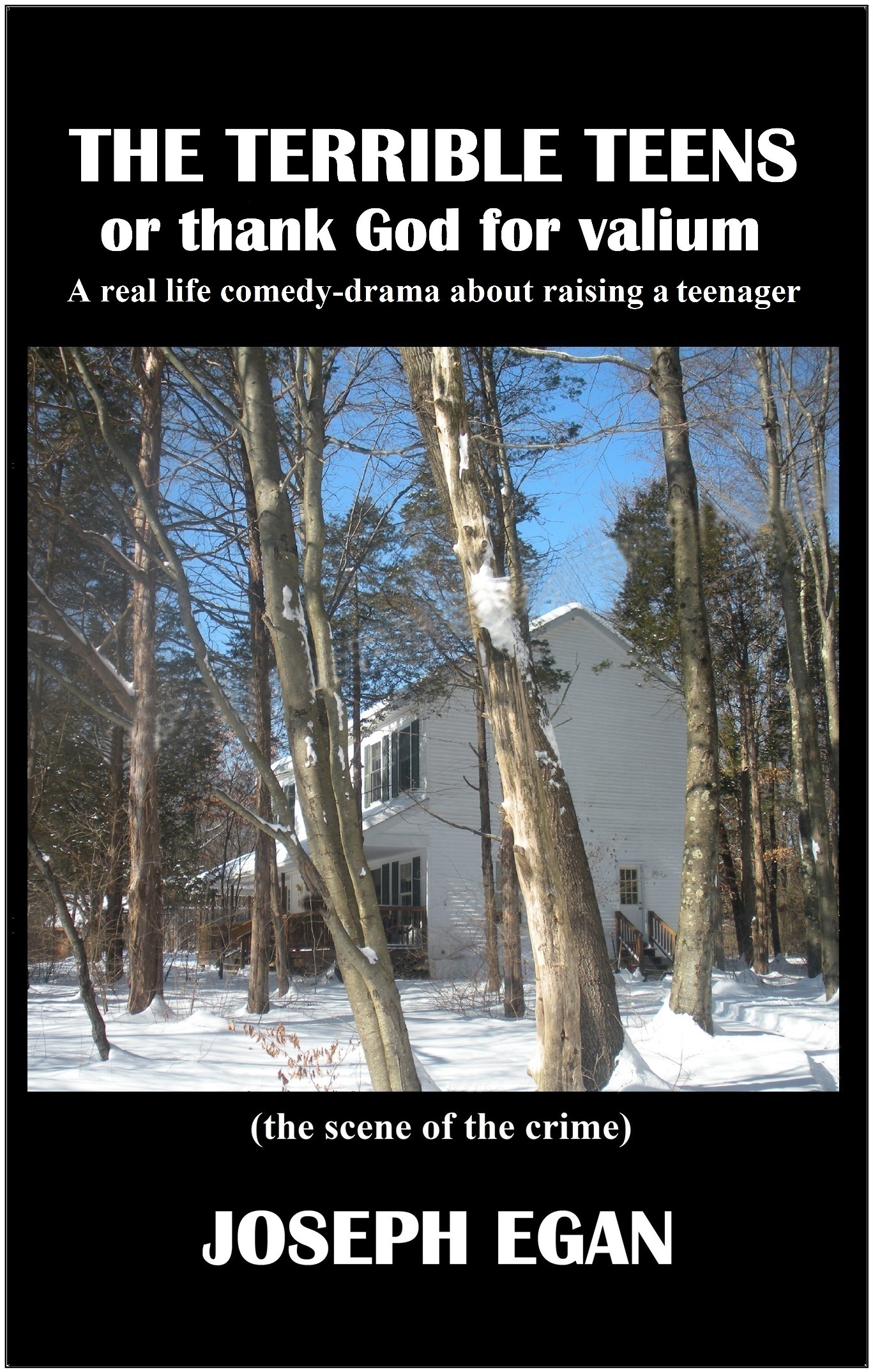 The Terrible Teens: Or Thank God For valium--A Real Life Comedy-Drama About Raising A Teenager ...