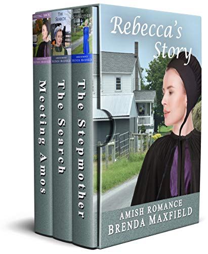 Rebecca's Story by Brenda Maxfield | Goodreads