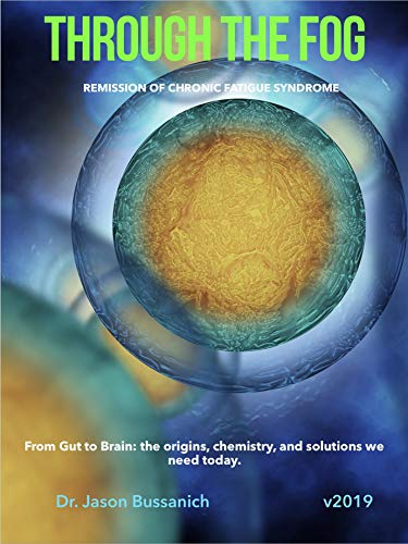 Through the Fog: Remission of ME/CFS Chronic Fatigue Syndrome by Jason ...