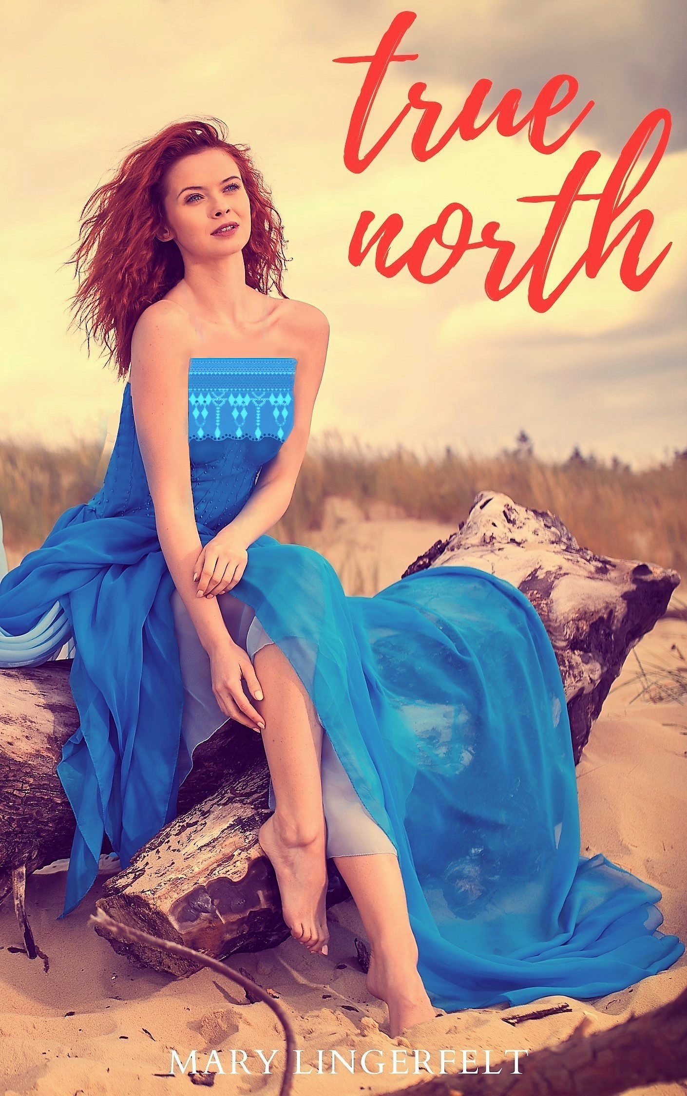 True North by Mary Lingerfelt | Goodreads