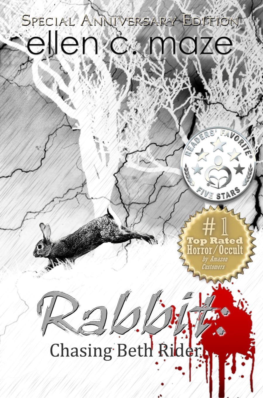 Rabbit: Chasing Beth Rider (The Rabbit Saga Book 1) by Ellen C. Maze ...