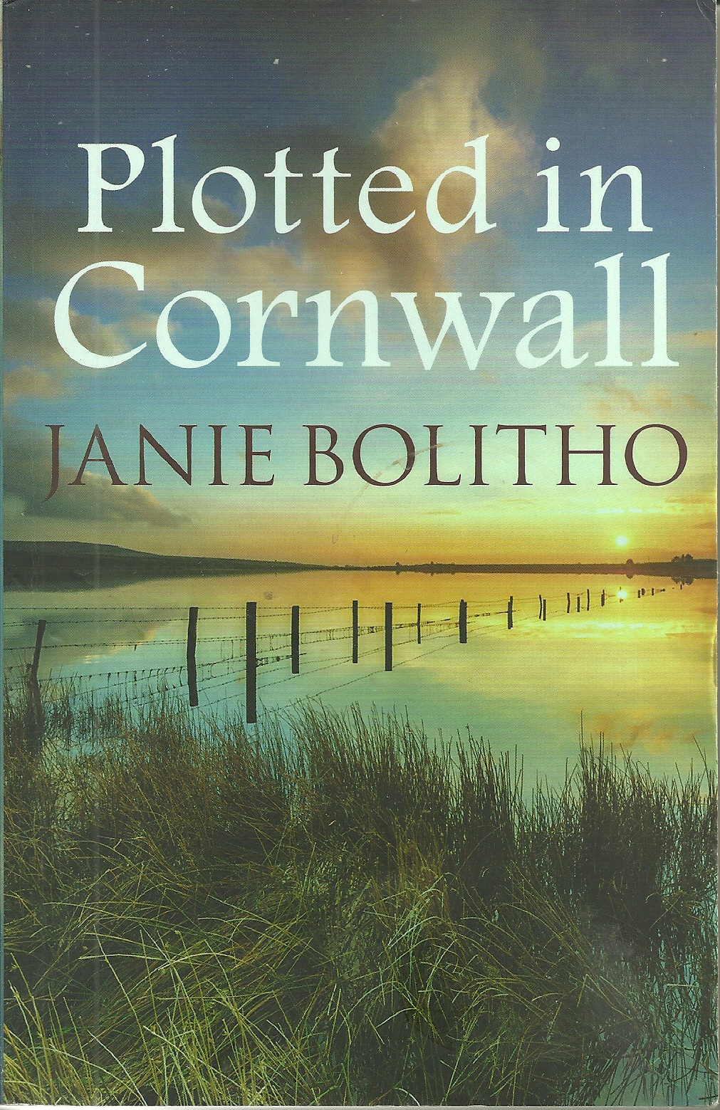 Plotted in Cornwall by Janie Bolitho | Goodreads