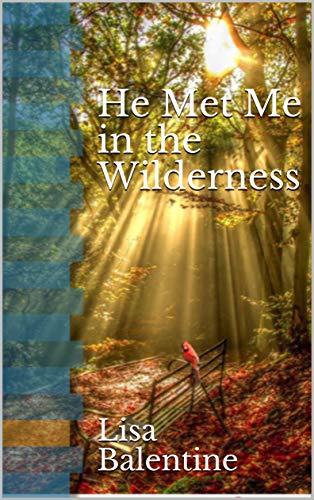 He Met Me in the Wilderness: The Ultimate Prayer Experience by Lisa ...
