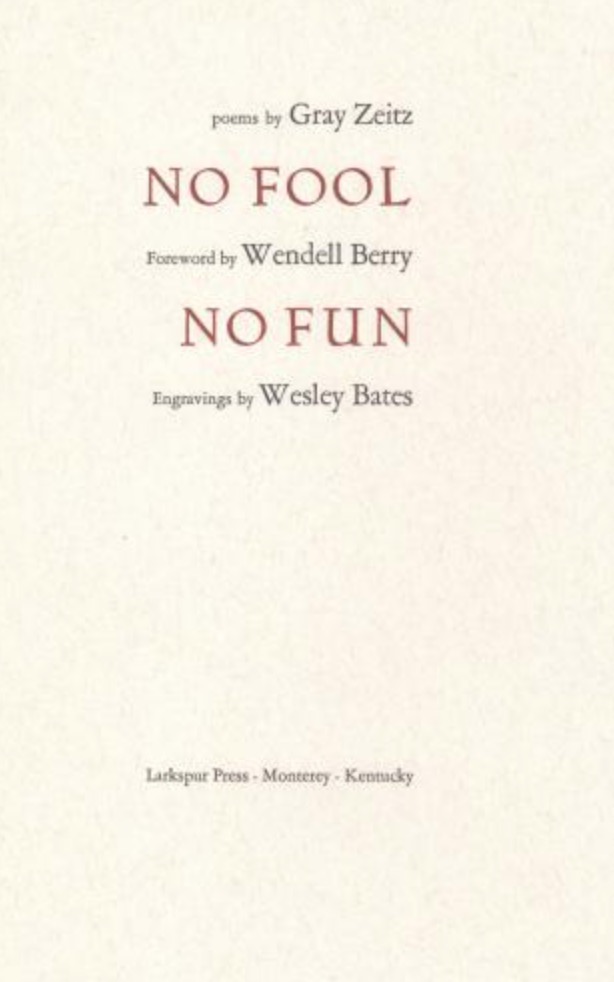No Fool No Fun by Gray Zeitz | Goodreads