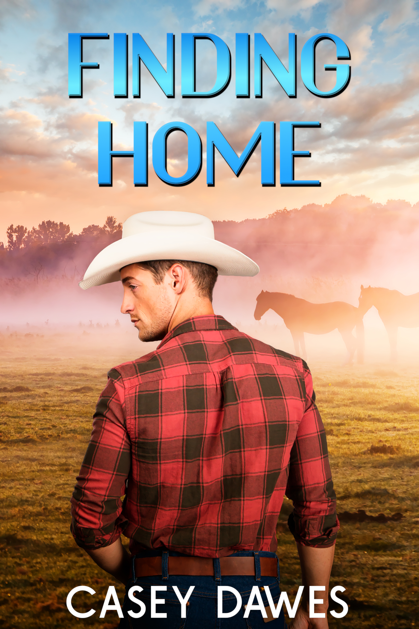 Finding Home (Rocky Mountain Front, #2) by Casey Dawes | Goodreads
