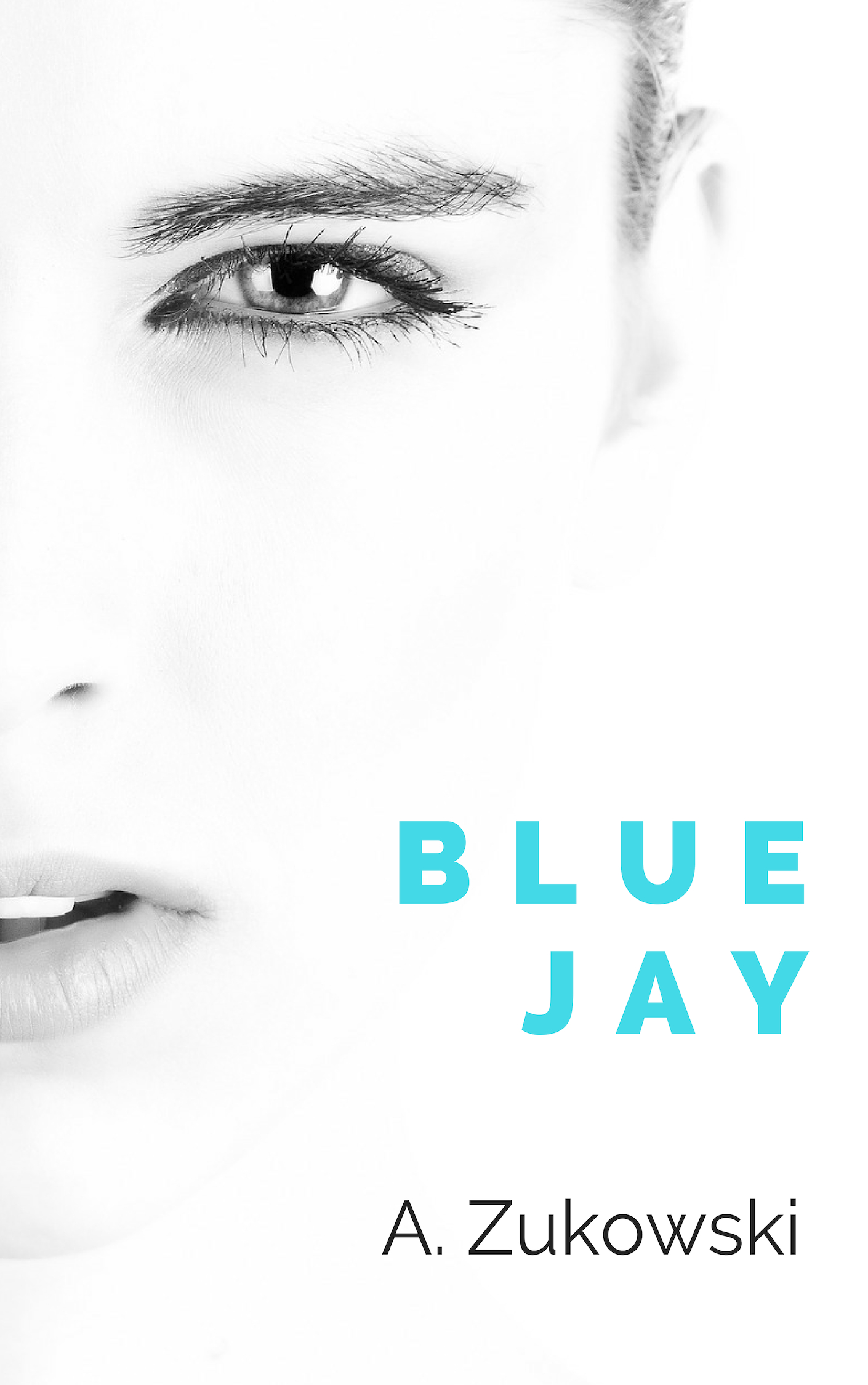 Blue Jay by A. Zukowski | Goodreads
