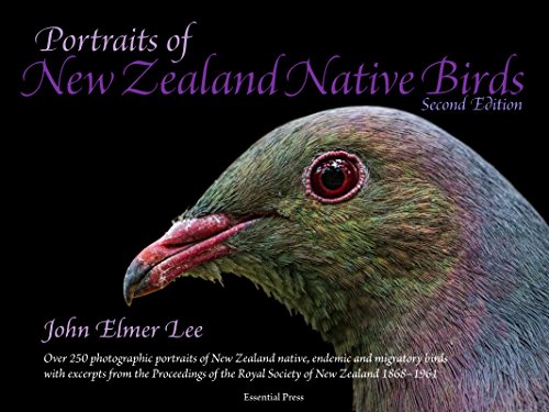 Portraits of New Zealand Native Birds: with excerpts on bird life in ...