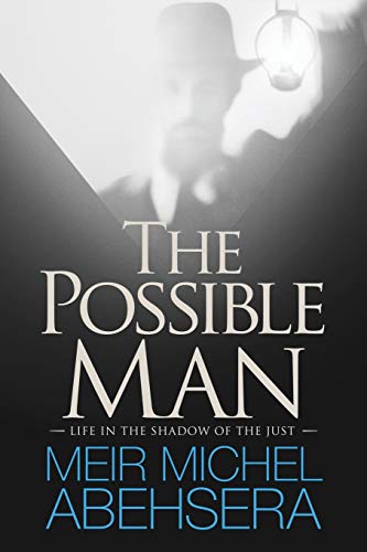 The Possible Man: Life In The Shadow of The Just by Meir Michel ...