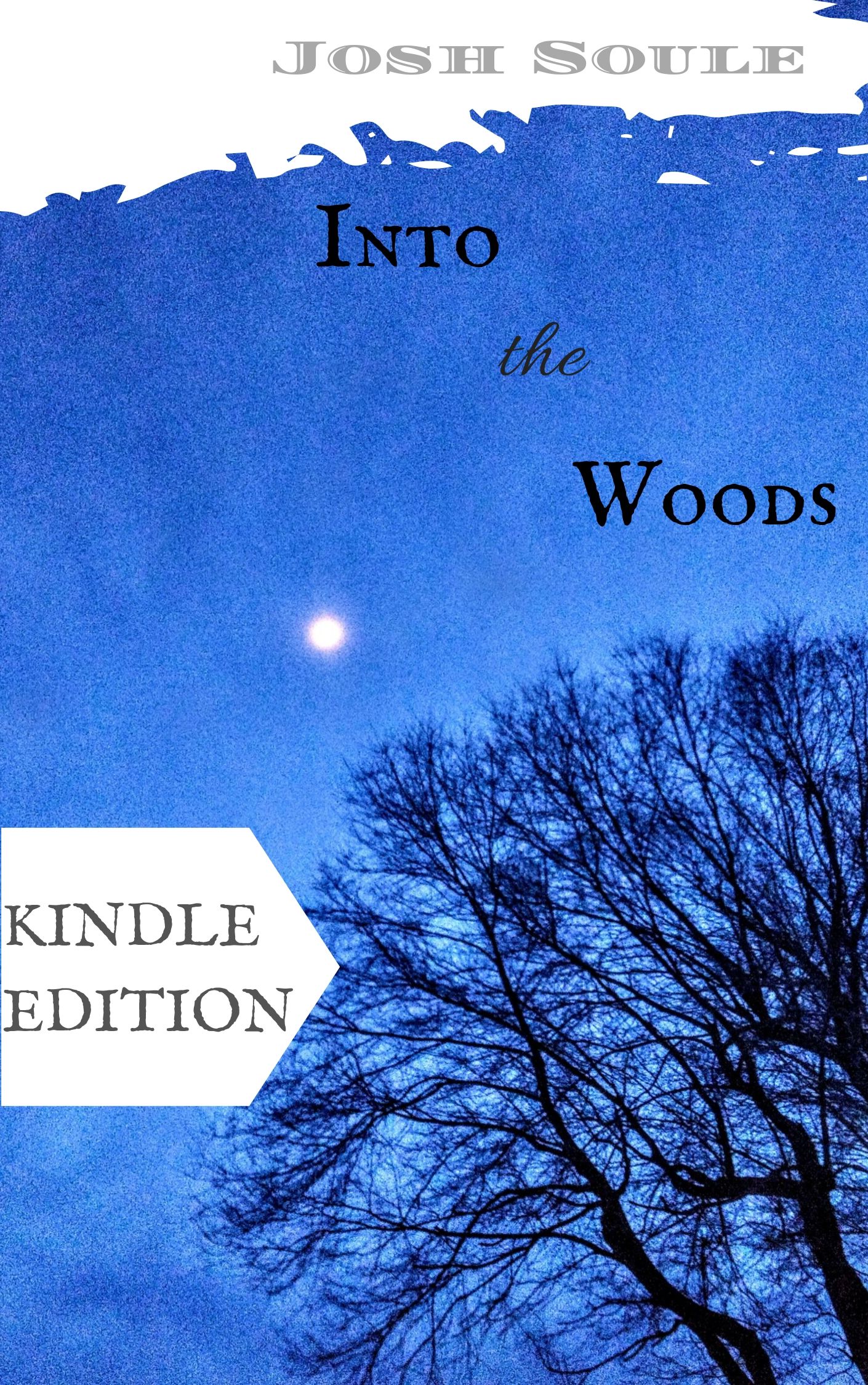 Into the Woods by Josh Soule | Goodreads
