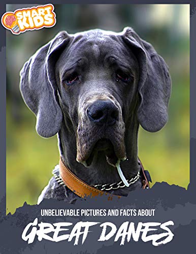 Unbelievable Pictures and Facts About Great Danes by Olivia Greenwood ...