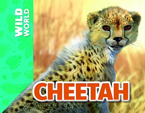 Cheetah (Wild World) by Meredith Costain | Goodreads