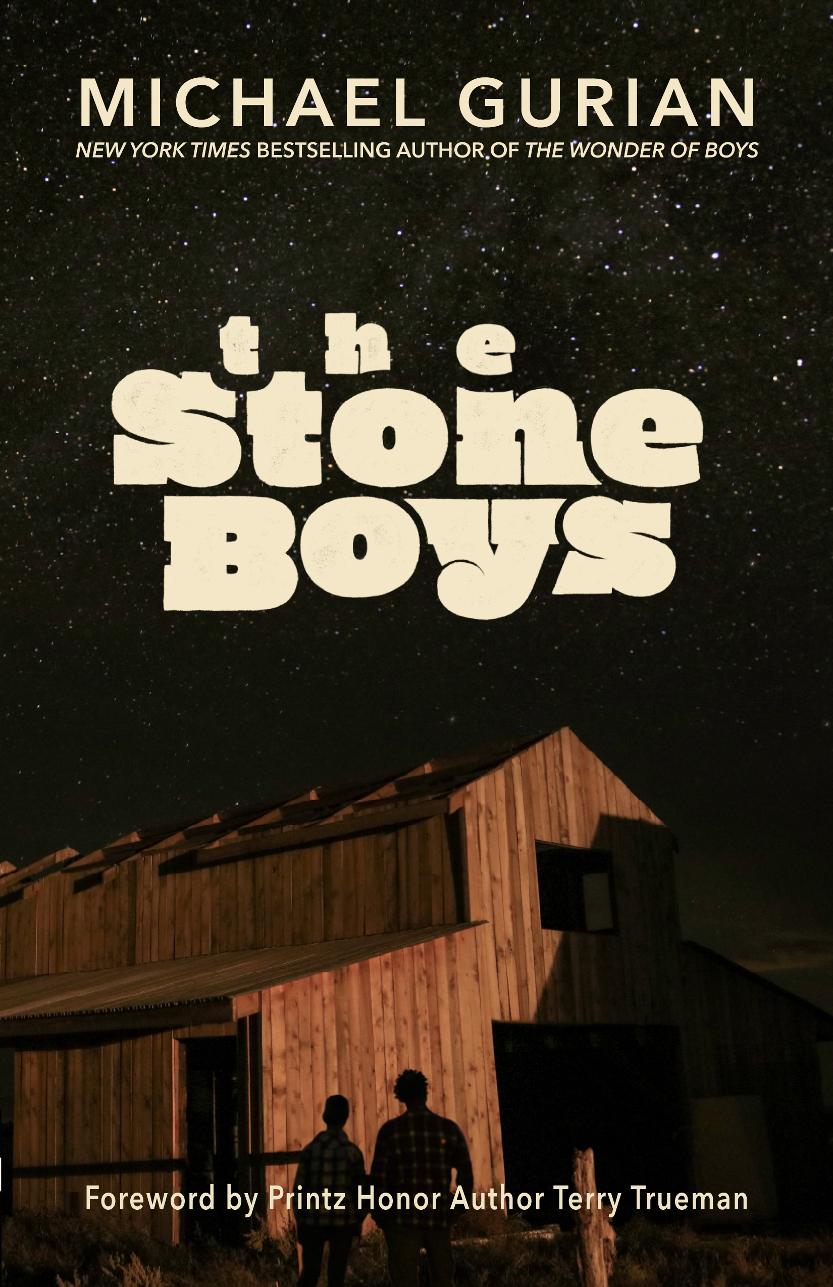 The Stone Boys by Michael Gurian | Goodreads