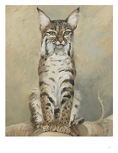 Pampas Cat: The Sequel by William Leet | Goodreads