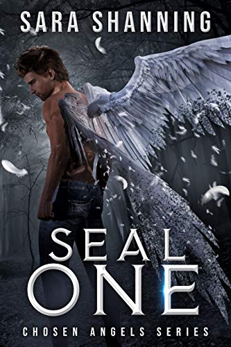 Seal One (Chosen Angels #1) by Sara Shanning | Goodreads