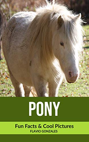 Pony: Fun Facts & Cool Picture by Flavio Gonzales | Goodreads
