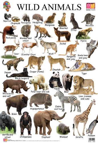 Wild Animals (Educational Wall Charts) by Smile Books | Goodreads