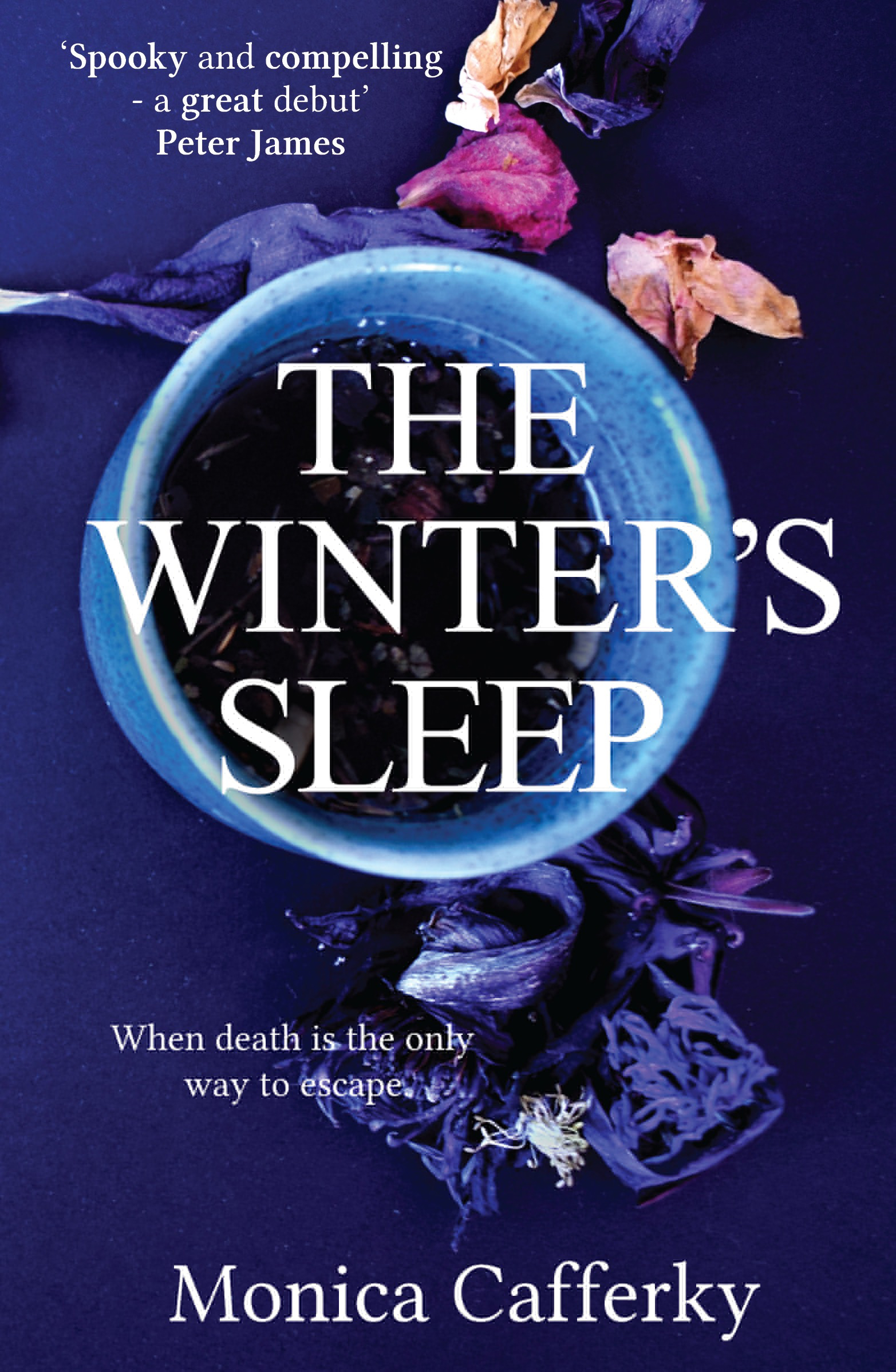 The Winter's Sleep by Monica Cafferky | Goodreads