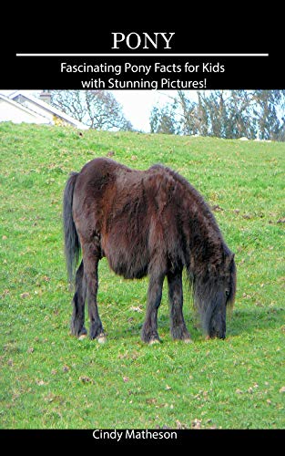 Pony: Fascinating Pony Facts for Kids with Stunning Pictures! by Cindy ...