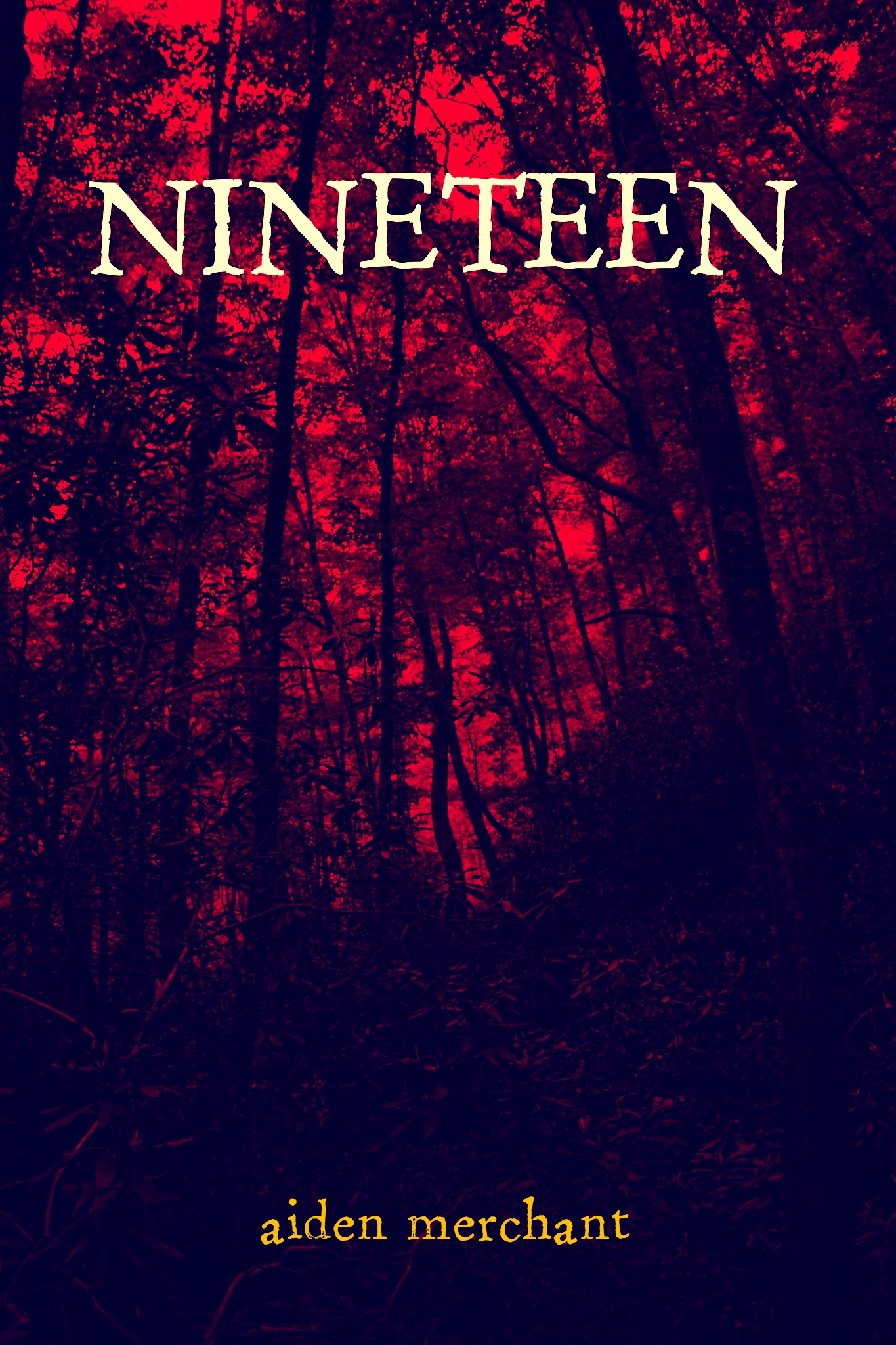 Nineteen: A Collection by Aiden Merchant | Goodreads