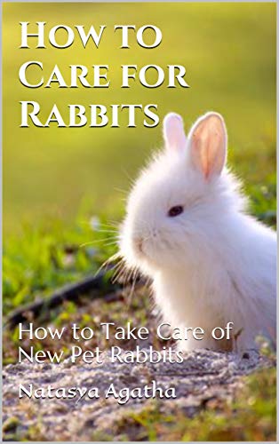 How to Care for Rabbits: How to Take Care of New Pet Rabbits by Natasya ...
