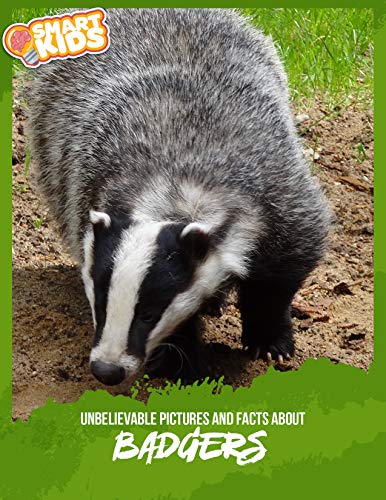 Unbelievable Pictures and Facts About Badgers by Olivia Greenwood ...