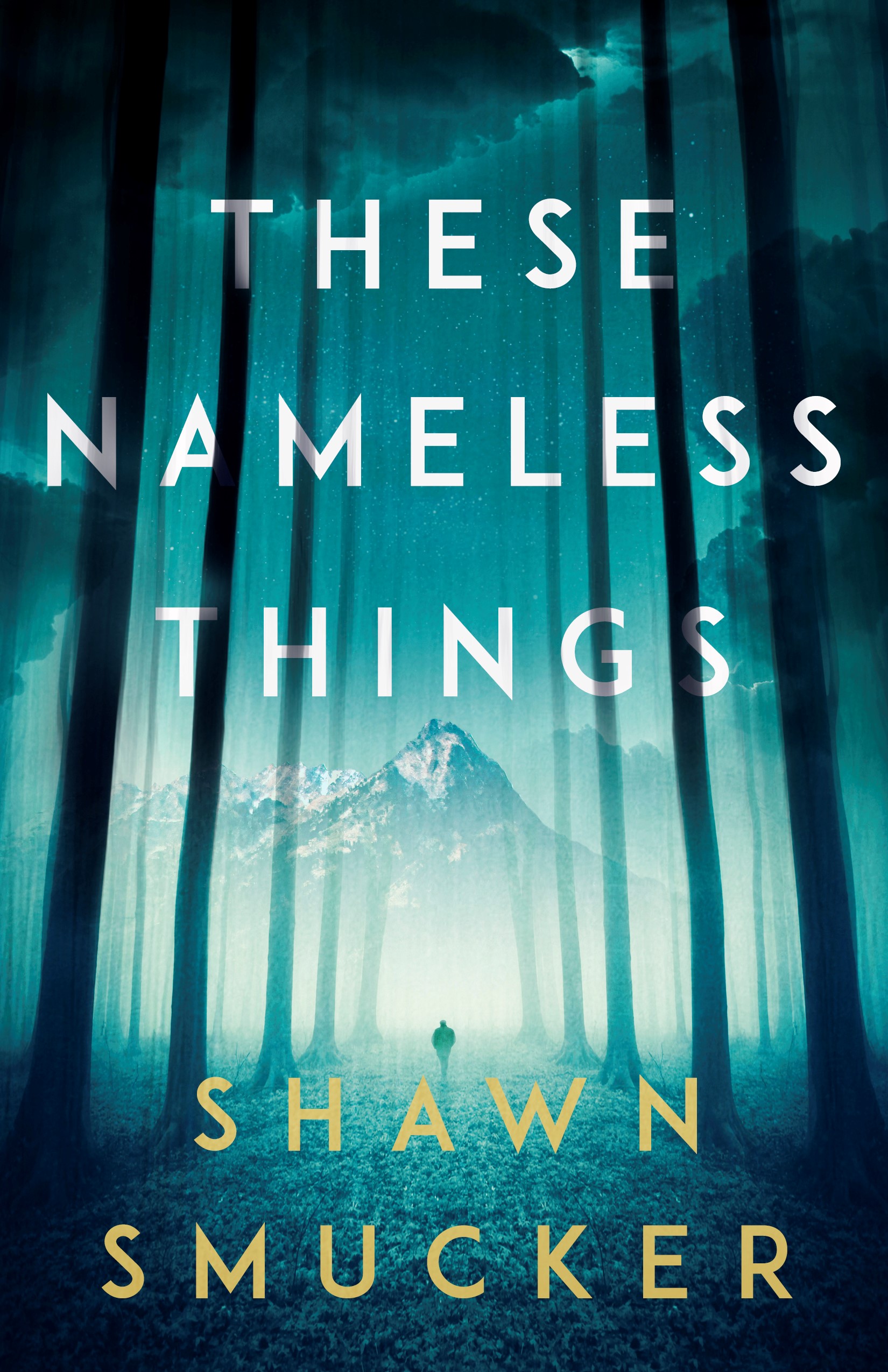 These Nameless Things by Shawn Smucker | Goodreads