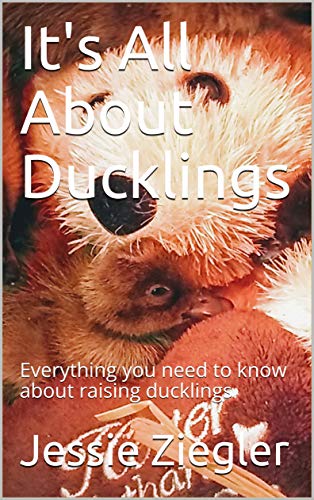 It's All About Ducklings: Everything You Need To Know About Raising ...