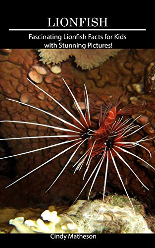 Lionfish: Fascinating Lionfish Facts for Kids with Stunning Pictures ...