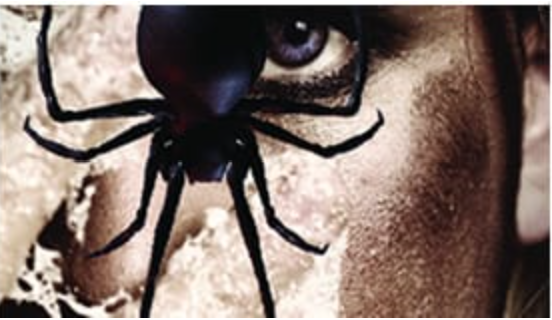 Dance of the Wasp and Spider by Larry E. Blossom | Goodreads