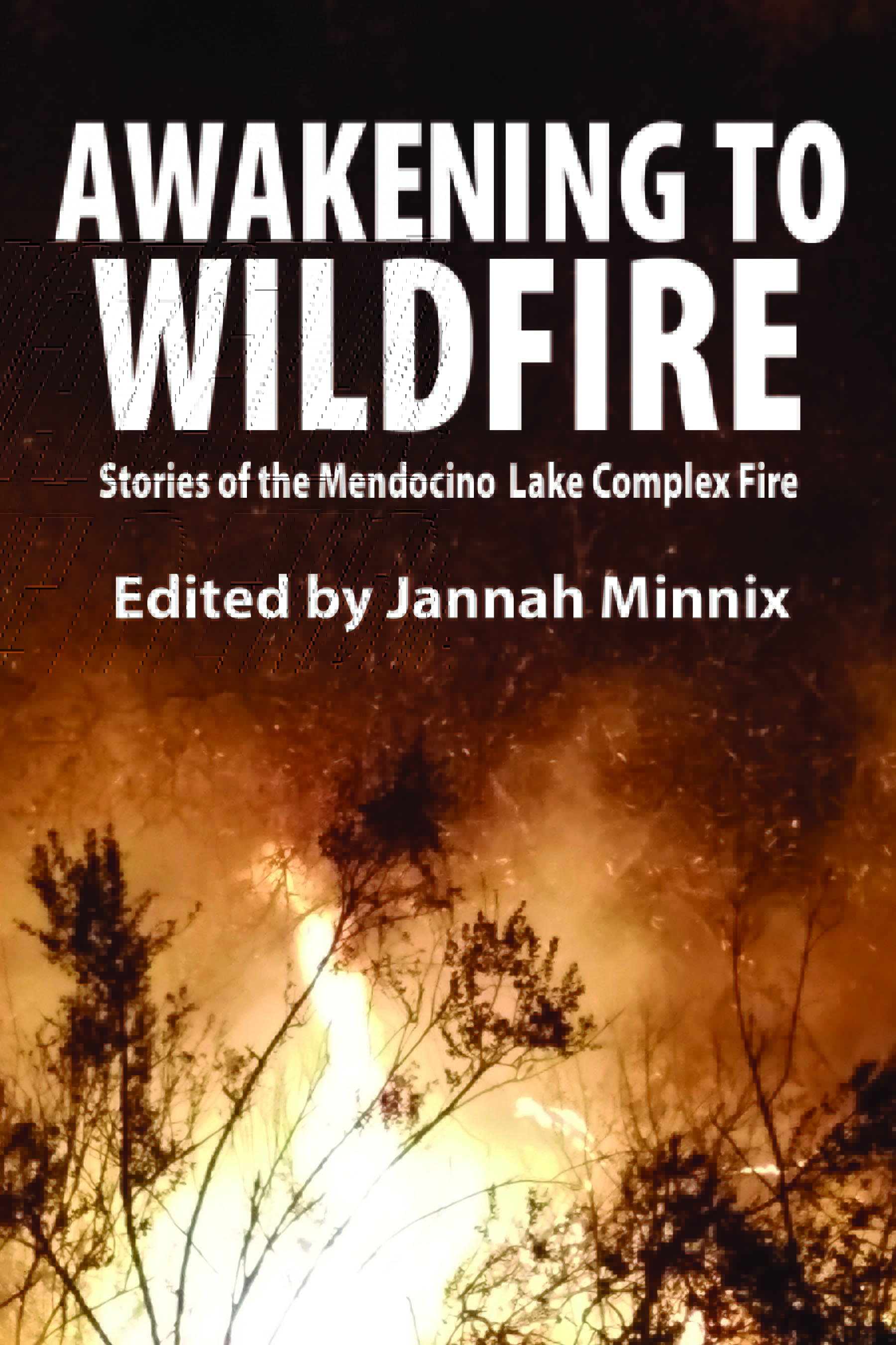 Awakening to Wildfire: Stories of the Mendocino Lake Complex Fire by ...