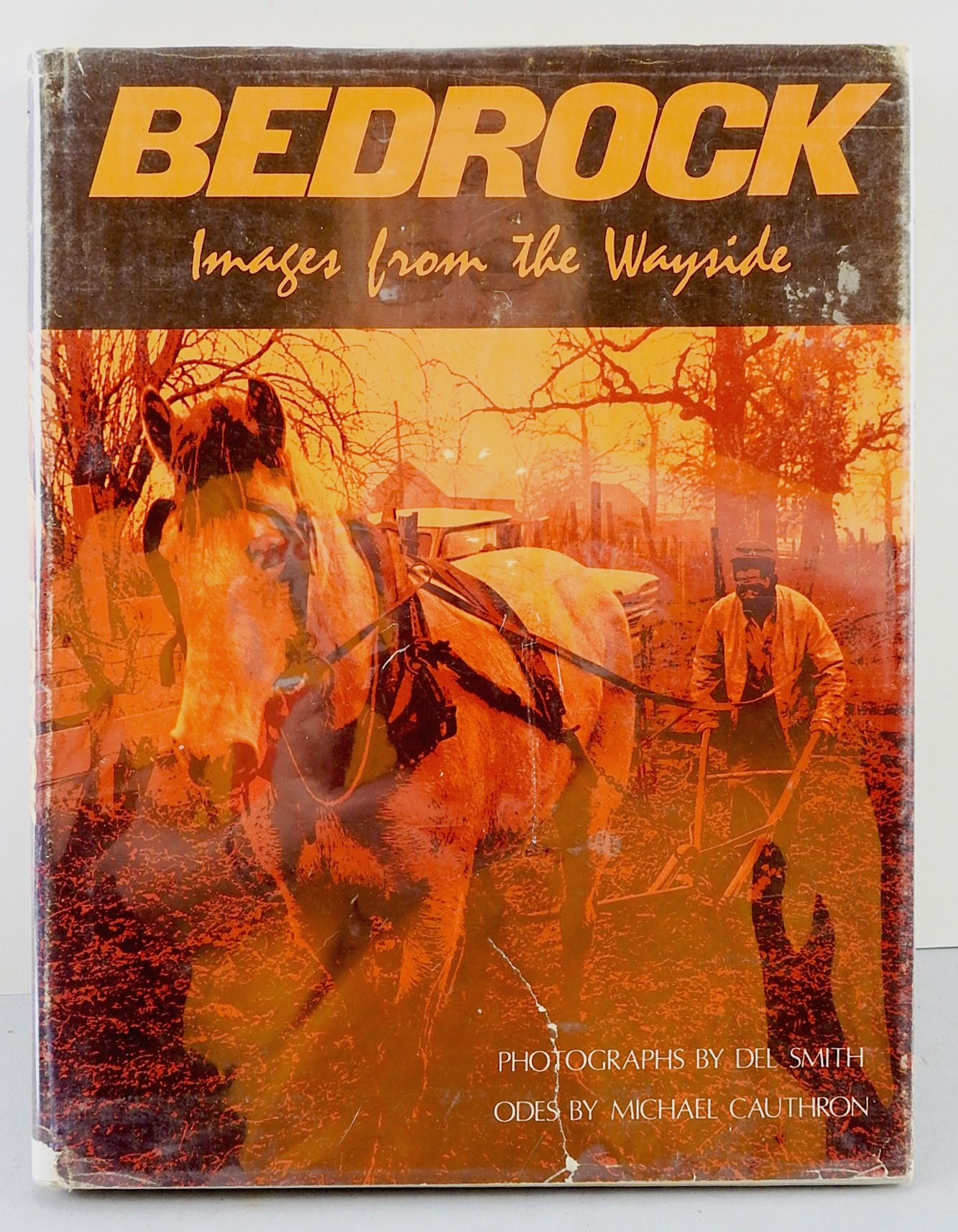Bedrock: Images from the wayside by Michael Cauthron | Goodreads