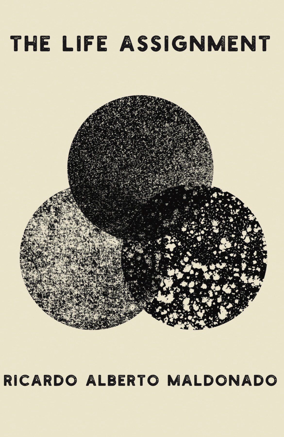 The Life Assignment by Ricardo Alberto Maldonado | Goodreads