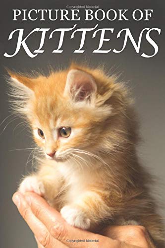 Picture Book of Kittens: Picture Book of Kittens: For Seniors with ...