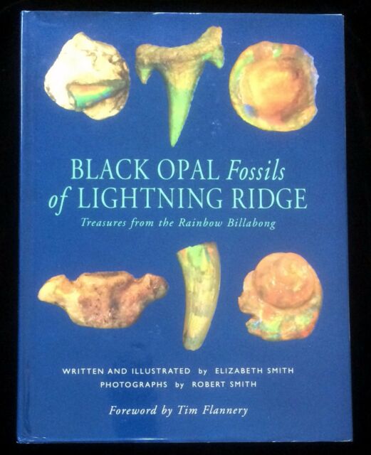 Black Opal Fossils of Lightning Ridge : Treasures from the Rainbow ...