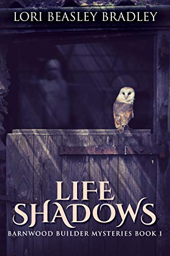 Life Shadows by Lori Beasley Bradley | Goodreads