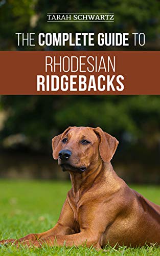 The Complete Guide to Rhodesian Ridgebacks: Breed Behavioral ...