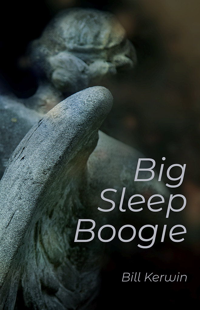 Big Sleep Boogie by Bill Kerwin | Goodreads