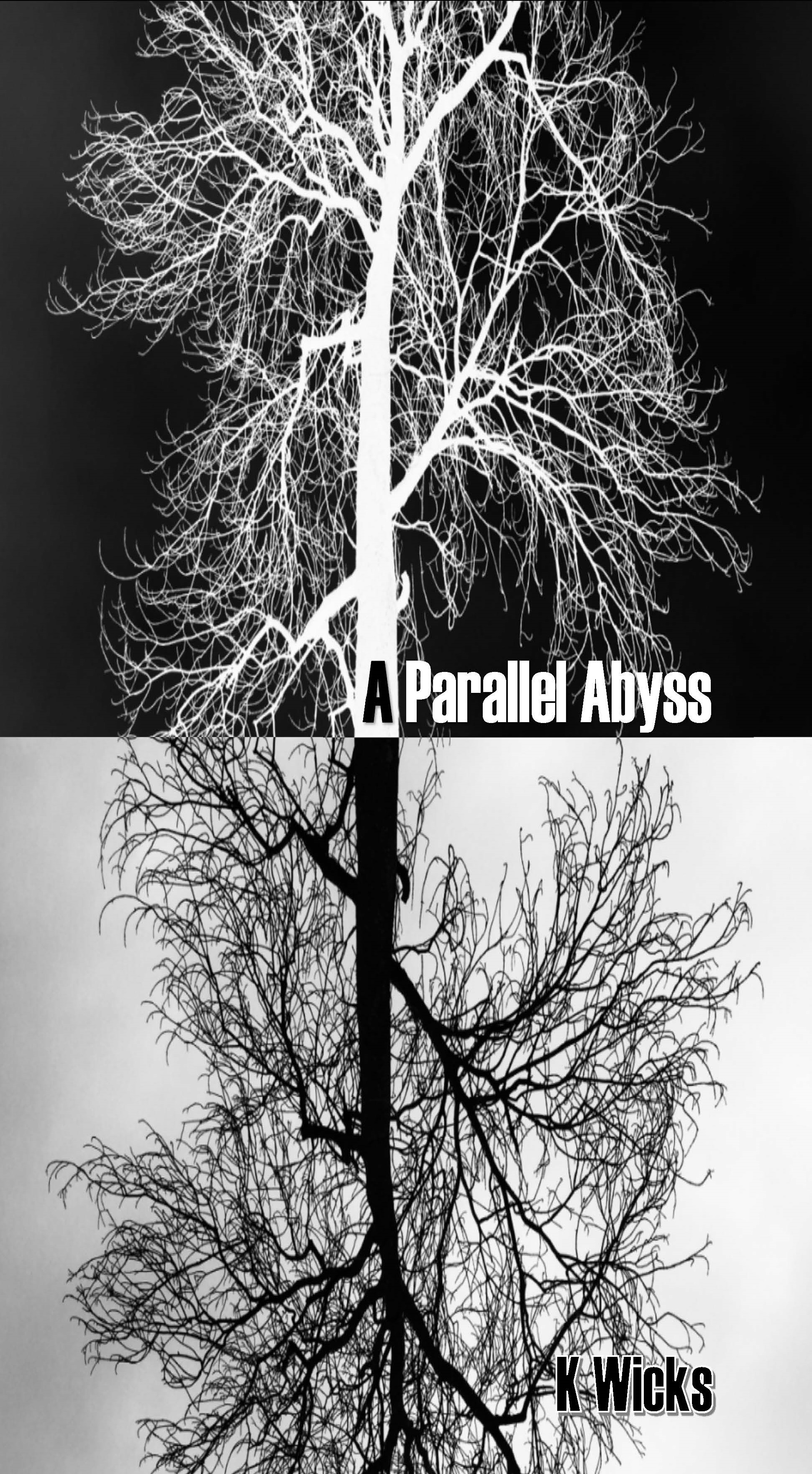 A Parallel Abyss by K.L. Wicks | Goodreads