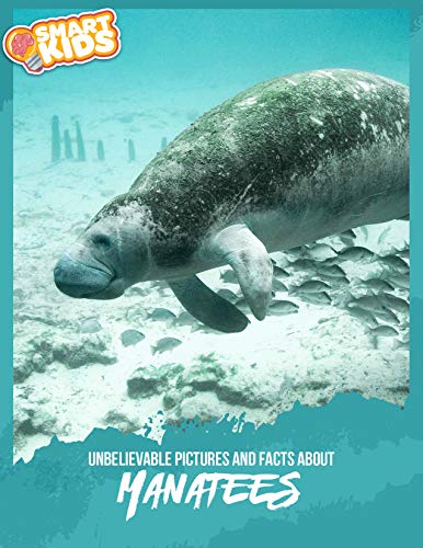 Unbelievable Pictures and Facts About Manatees by Olivia Greenwood ...