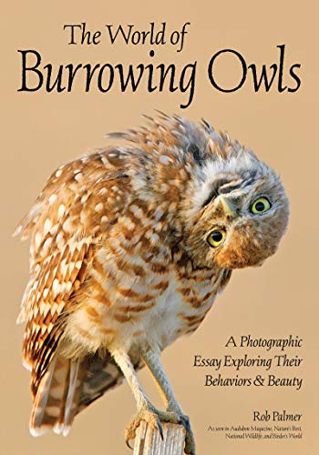 The World of Burrowing Owls: A Photographic Essay Exploring Their ...
