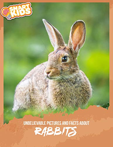 Unbelievable Pictures and Facts About Rabbits by Olivia Greenwood ...