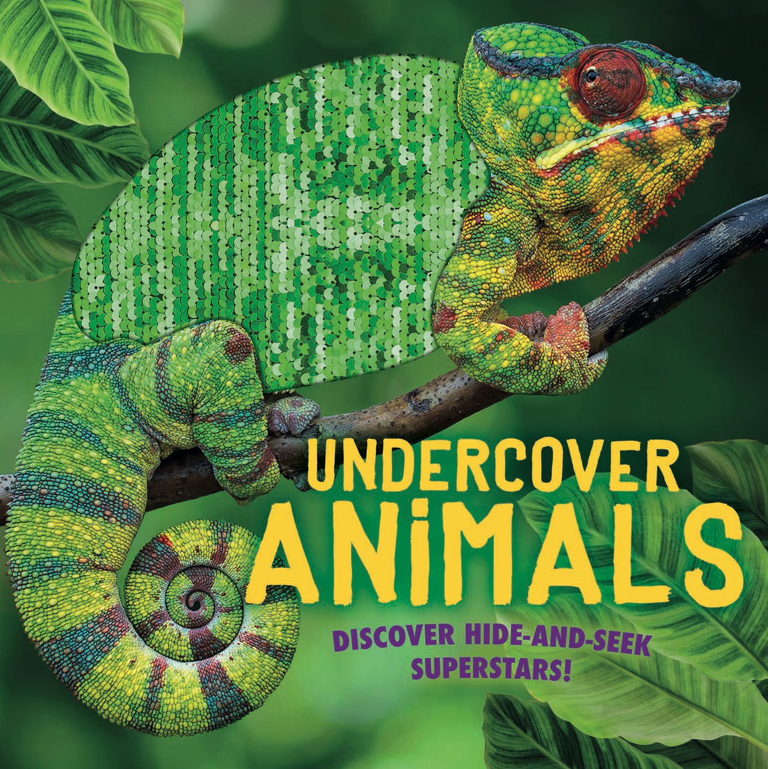 Undercover Animals: Discover Hide-and-Seek Superstars! by Carlton Books ...