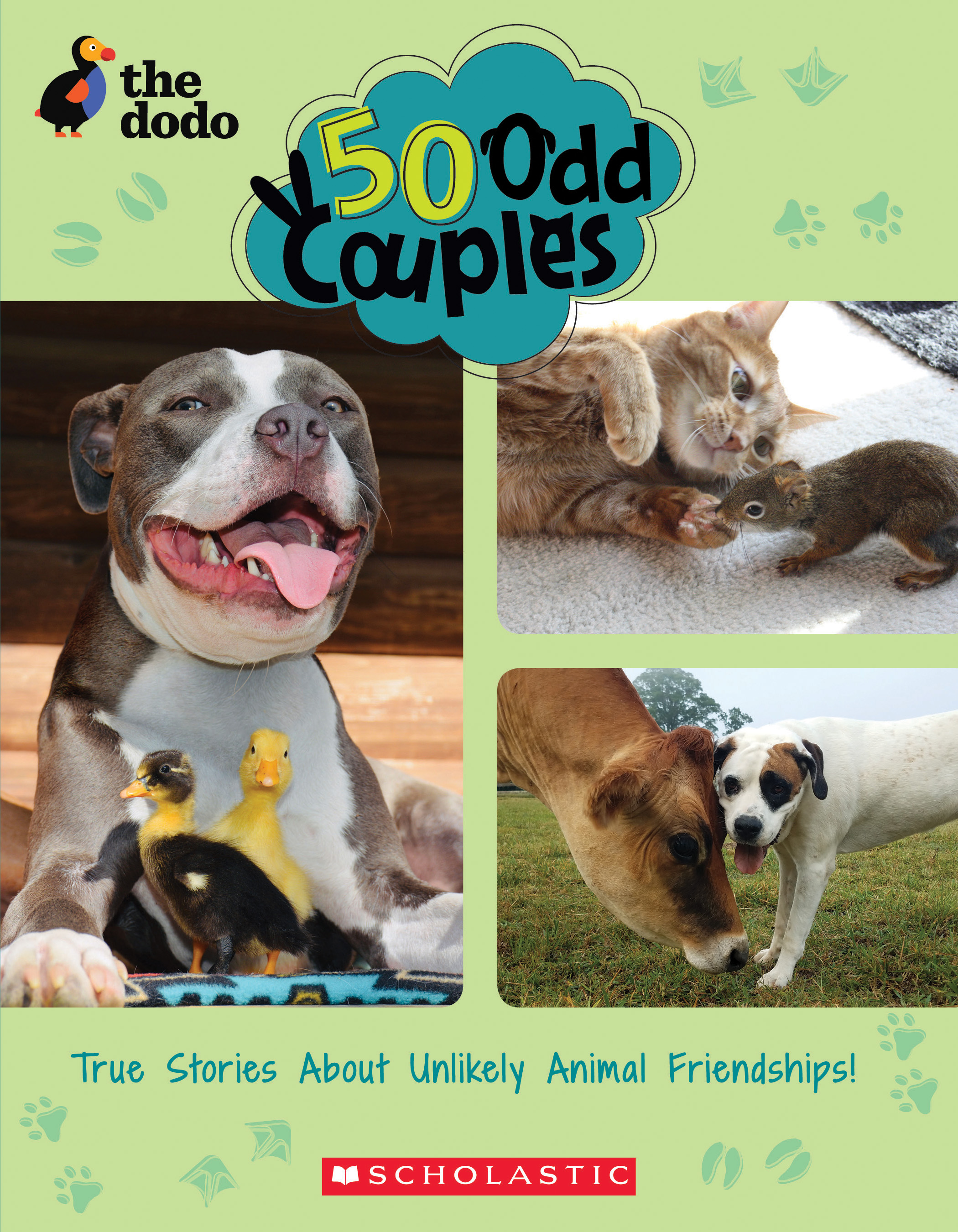 50 Odd Couples (The Dodo) by Gabe Polt | Goodreads